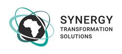 Synergy Transformation Solutions - Consulting Agencies in Johannesburg ...